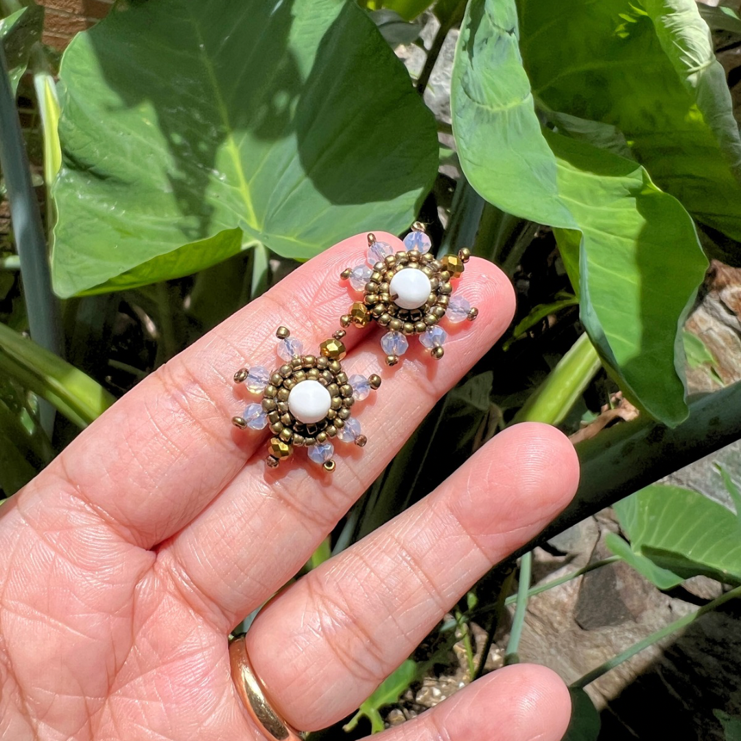 Pili Shell – BOHO MANILA